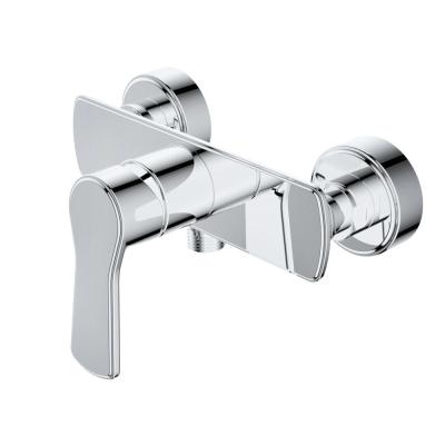 中国 キッチンアクセサリー ハードウェア 粉末付きステンレス鋼の単柄 販売のため