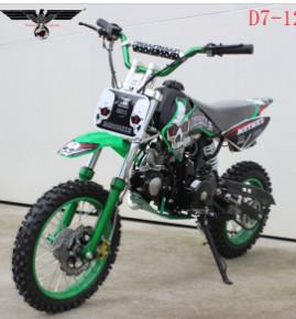 China D7-12e 110cc Electric and Kick Start Dirt Bike for sale