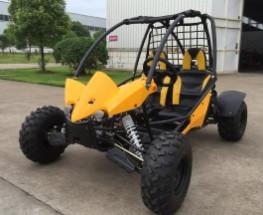 China Plastic Cover Dune Buggy Go Kart for Funny Toy (KD 150GKT-2) for sale