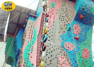China Amusement Park Outside Play Equipment , Children & Adult Outdoor Rock Climbing Wall for sale