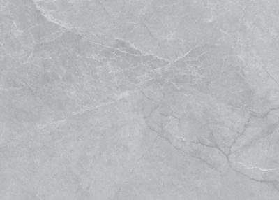 Китай Многофункциональные внутренние фарфоровые плитки продается