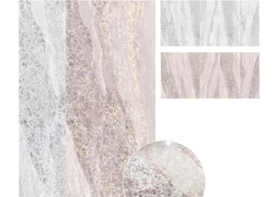 Китай Легкое обслуживание и стойкость к пятнам для внутренних фарфоровых каменных плиток продается