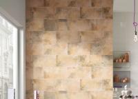 China Outdoor Decorative Cement Floor Tiles Floor Particels Matt Surface for sale