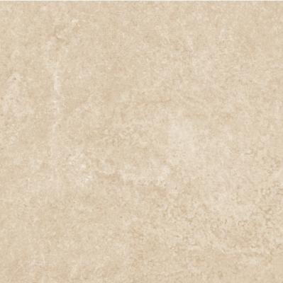 China Modern Non Slip Matt Ceramic Kitchen Floor Tile And Floor Tile 60*60cm for sale