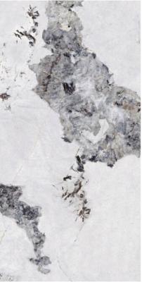 China Foshan Book Match Slab Ceramic Tiles 1200x2400mm Modern Porcelain Tile White Color Big Size Tile for sale