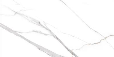 Китай Дополнительный большой фарфор кроет плитки черепицей фарфора размера изготовителей 750x1500mm крытые что делает керамическую плитку выглядит как продается