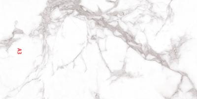 Cina piastrella per pavimento della porcellana del salone di 12mm in vendita