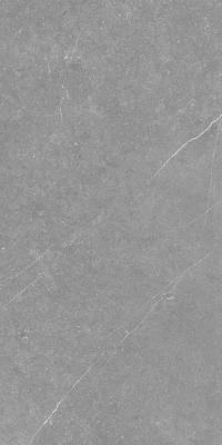 China Trending Large Indoor Porcelain Tiles Format Cement Grey Concrete Look Matte Finish Porcelain Tile In 600 X1200mm for sale