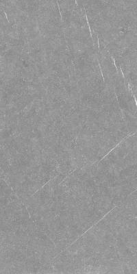 China Trending Large Indoor Porcelain Tiles Format Cement Grey Concrete Look Matte Finish Porcelain Tile In 600 X1200mm for sale