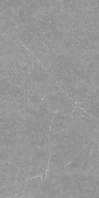 China Trending Large Indoor Porcelain Tiles Format Cement Grey Concrete Look Matte Finish Porcelain Tile In 600 X1200mm for sale