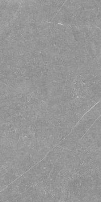 China Dark Tile Floor Trending Large Format Cement Grey Concrete Look Matte Finish Porcelain Tile 60*120cm for sale
