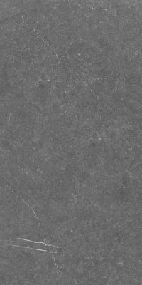 China Concrete Style Large 60*120cm Cement Look Porcelain Tile for sale