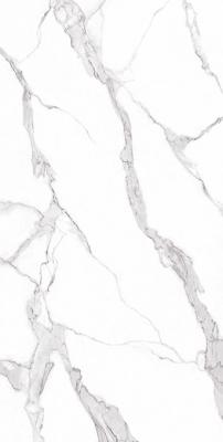 China telha de assoalho vitrificada lustrada rústica da porcelana de Formatindoor da cor branca exterior de 1200x2400mm grande à venda