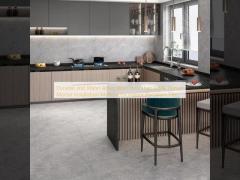 Durable and Water Absorption Less Than 0.5% Thinset Mortar Installation Method for Indoor Porcelain Tiles