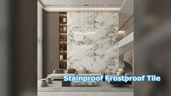 Modern Porcelain Tile Stainproof Frostproof Flooring