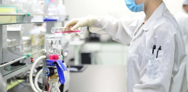 10 Inch DIPTFE Membrane Pleated Filter Cartridge For Liquid Filtration 2