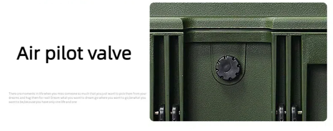 Interior view showing customizable foam lining