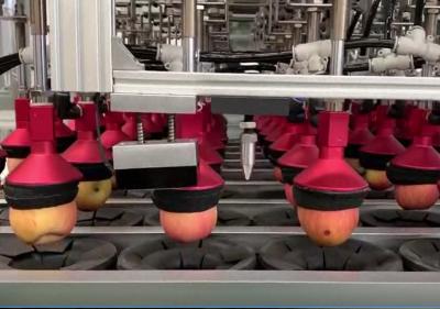 Cina Kr 210 R2700 della pinza di presa del braccio del robot di KUKA per il trasporto con palette del robot di automazione in vendita