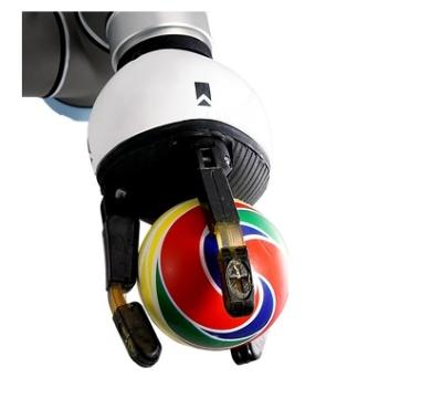 Cina Apparecchio di presa robotica collaborativa a 6 assi per il prelievo e il posizionamento di carichi utili da 10 kg in vendita