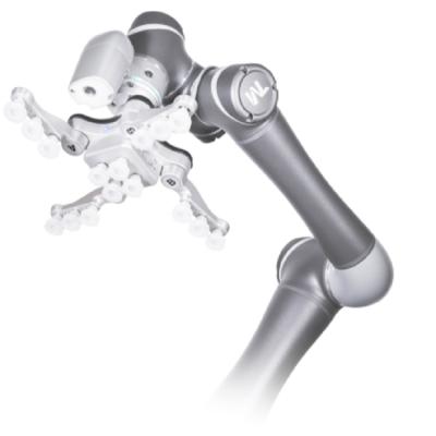 Cina Flessibile robot di raccolta e posizionamento su un braccio robotico collaborativo da 33,5 kg TM con la pinza robotica Onrobot in vendita