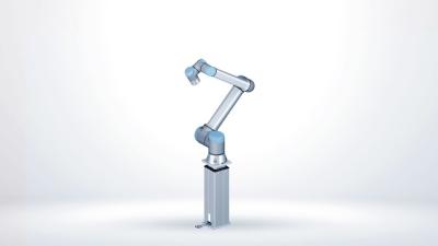 Cina Imballaggio Sistema di posizionamento verticale del kit di sollevamento del braccio robot collaborativo in vendita