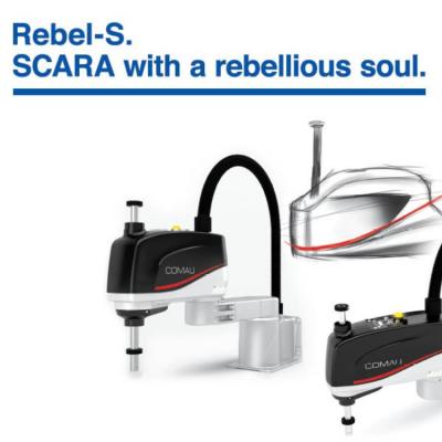 Cina Robot industriale collaborativo Arm Rebel-S6-0.45 per robot di pick and place in vendita