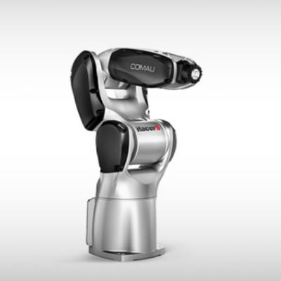 Cina Robot Racer-5-0.63 Macchina di lucidatura con robot collaborativo in vendita