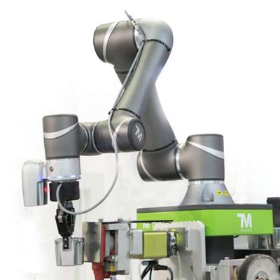 Cina Pick and Place Robot TM5-900 Braccio robotico 6 assi come robot collaborativo in vendita