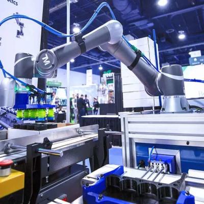 Cina Pick and Place Robot TM5-900 Braccio robotico 6 assi come robot collaborativo in vendita