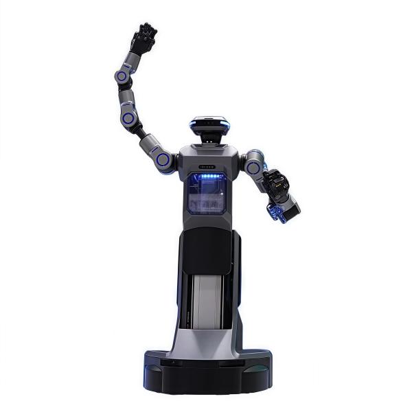 Liftable Bipedal Locomotion CNGBS 20+ Joints Intellilgent Commercial Humanoid Robots AI Robot Human Robot