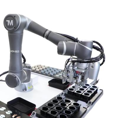China Techman Robot Inspection TM12 TM14 TM16 TM20 Smart Manufacturing Al Cobot Automation Pick and Place Assembly Robot for sale