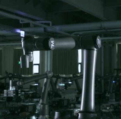 China AI Cobot Techman Camera Vision System Robotic Arm TM S Series TM12S TM14S Collaborative Safe Medical Handling Robot for sale