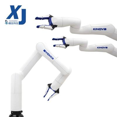 China Kinova Gen3 Lite 6 Axis Portable Educational Robotic Arm Lightweight Collaborative Robot for sale