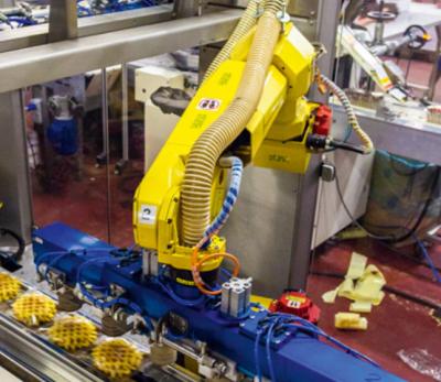 Cina Postazione di lavoro per la movimentazione, pallettizzazione e confezionamento in fabbrica alimentare FANUC M-10iA/10M con sistema di presa su binario in vendita