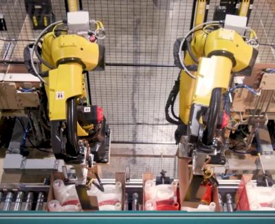 Cina Postazione di lavoro per la movimentazione, pallettizzazione e confezionamento in fabbrica alimentare FANUC M-10iA/10M con sistema di presa su binario in vendita