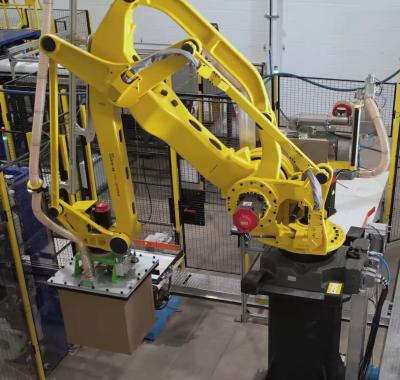 Cina Postazione di lavoro per la movimentazione, pallettizzazione e confezionamento in fabbrica alimentare FANUC M-10iA/10M con sistema di presa su binario in vendita