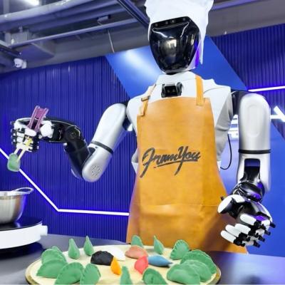 China Warehouse Logistics Picking and Placing Robot ROBOTERA New Full-Size Bipedal Humanoid Robot L7 for sale