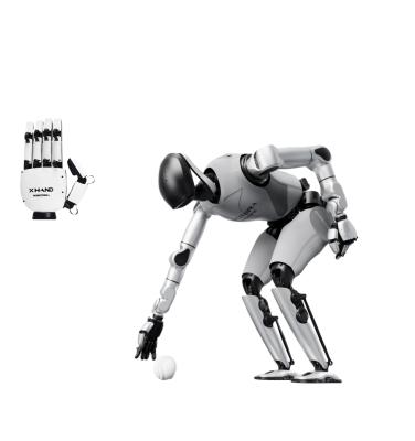 China Humanoid Serive Robot Solutions ROBOTERA L7 Humanoid Robot Warehouse Logistics for sale