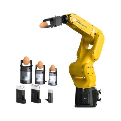 China China DH Industrial Parallel Electric Gripper Small Robots FANUC LR Mate 200iD/7L Robotic Arm with Riser for sale