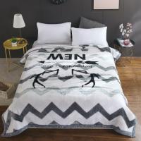 China Customized Pattern Luxury 100% Polyester Raschel Mink Blanket with Microfiber Fabric for sale