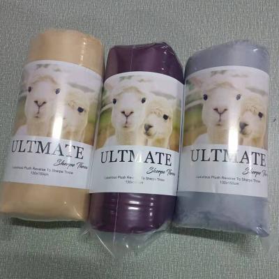 Cina Semplice stile Corallina Fleece Copertura Massiccia di flanello Copertura per animali di compagnia Copertura di poliestere in vendita