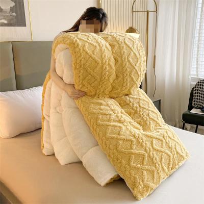 中国 純色 超柔らかい ジャッカード プレッド 厚い冬毛 ベルベット デュウェット キングサイズベッド 販売のため