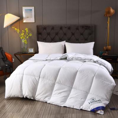 China Hilton Duvet Double Spring Autumn Winter Quilt Core en Hot Style voor Micro-Business Te koop