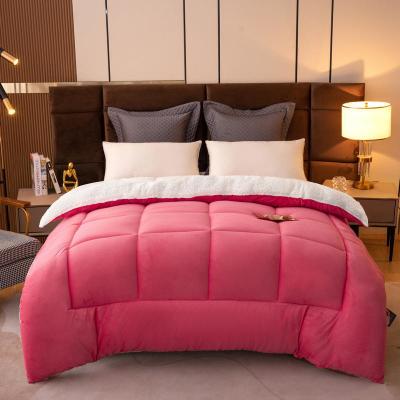 Cina Colore massello a maglia Oeko-Tex Comforter Edredon Set di biancheria da letto personalizzabile per adolescenti gemelli in vendita