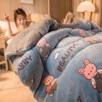 China Hotel Bed Queen Size Microfiber Quilt with Customized Design and Printed Pattern for sale