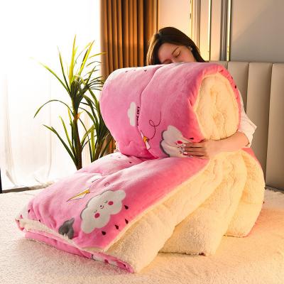 Cina 100% poliestere per tutte le stagioni Set di biancheria da letto calda per l'agnello in vendita