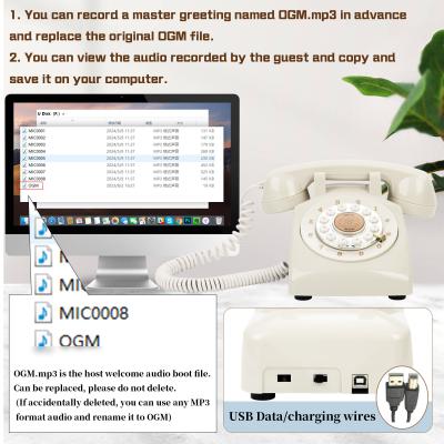 Cina USB Voicemail Libro degli ospiti Chiaro Libro degli ospiti Telefono Per matrimoni Eventi in vendita