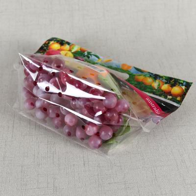 Cina Borse di plastica di protezione delle verdure dell'alimento congelate copertura della frutta fresca che imballano con i fori di aria in vendita