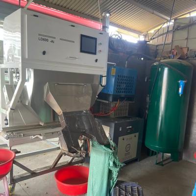 China DeepSort Crawler 3T/H - AI-Powered Almond Color Sorter for sale