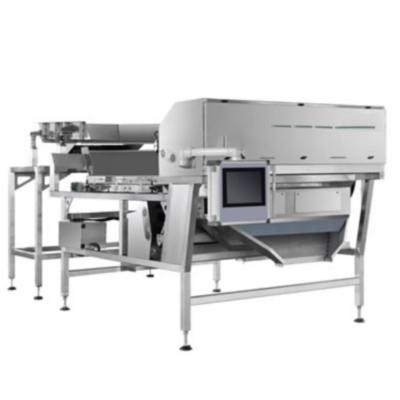 China High-Capacity Dual Track Chili Color Sorting Machine (5-7TPH) for sale